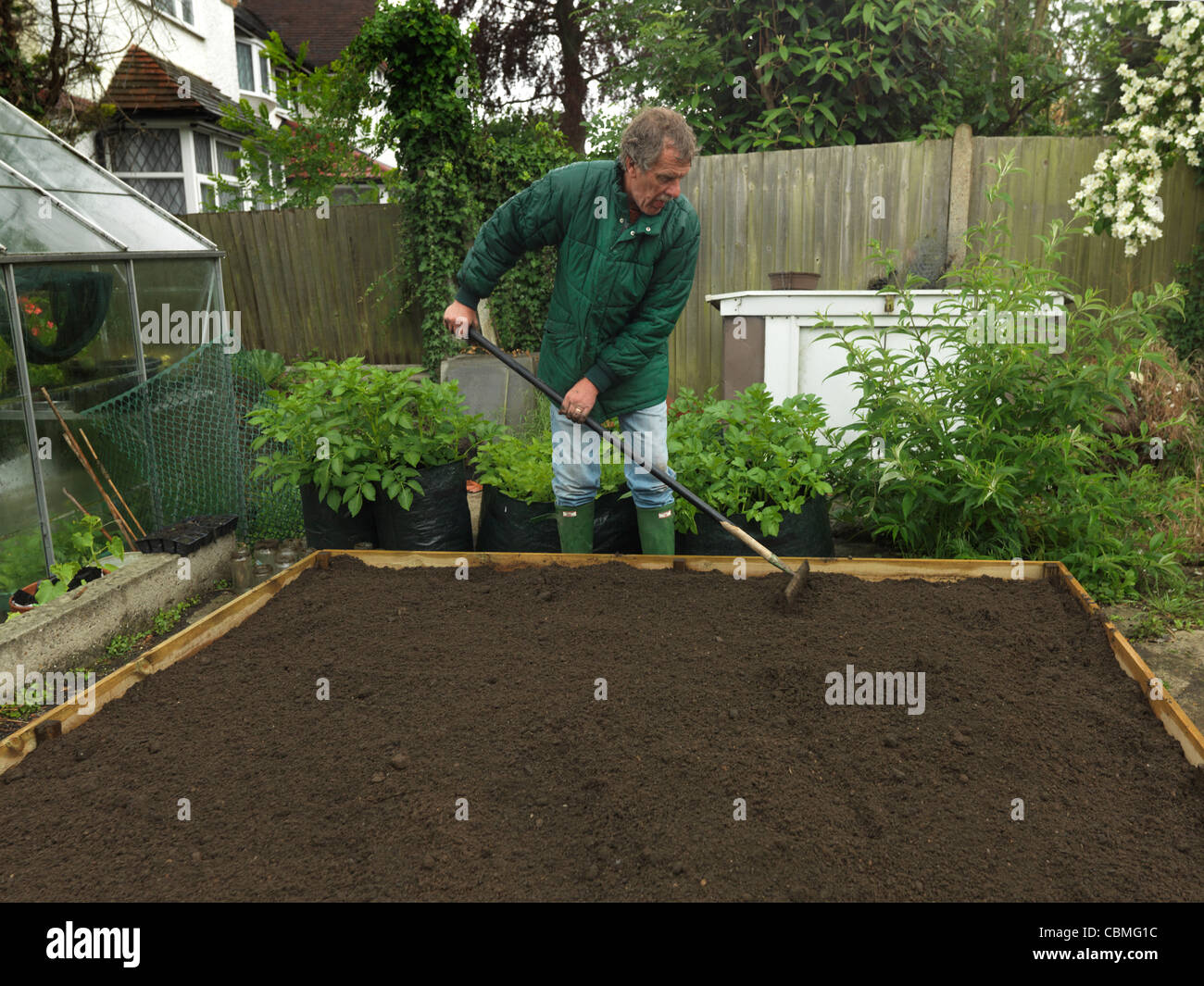 Man Raking Soil In A Raised Bed In Garden Surrey England Stock Photo ...