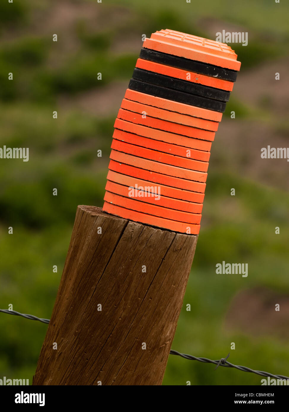 Stack of orange clay pigeon Stock Photo - Alamy