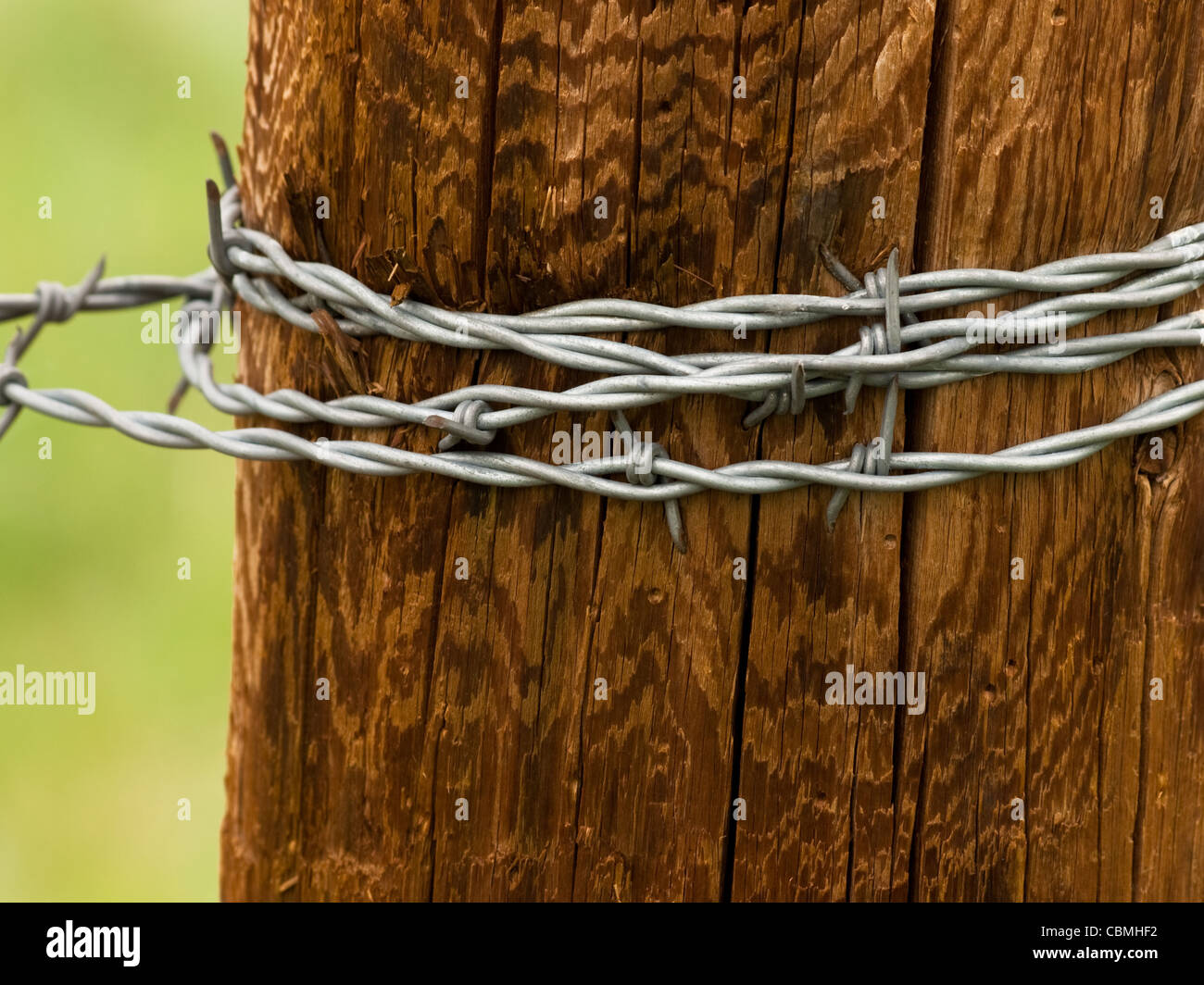 Barbed wire around a wooden post Stock Photo - Alamy