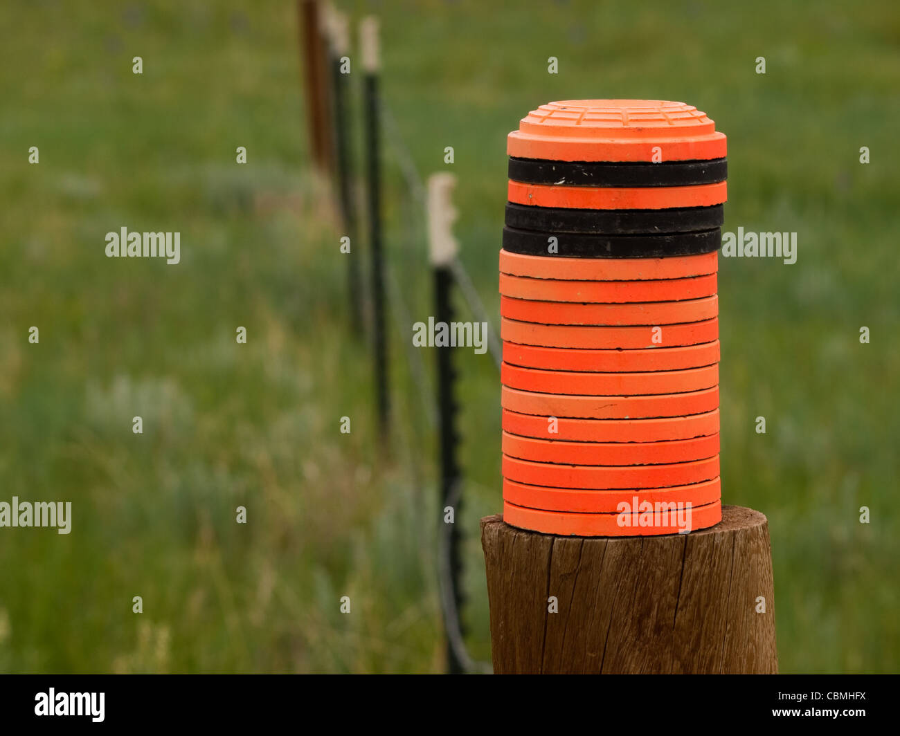 Stack of orange clay pigeon Stock Photo - Alamy