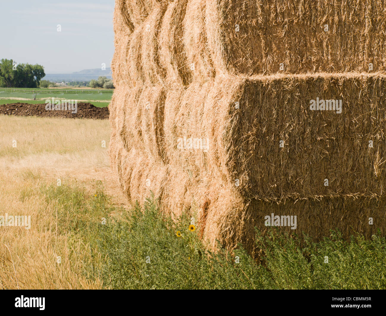 Haystack on the farm Stock Photo - Alamy