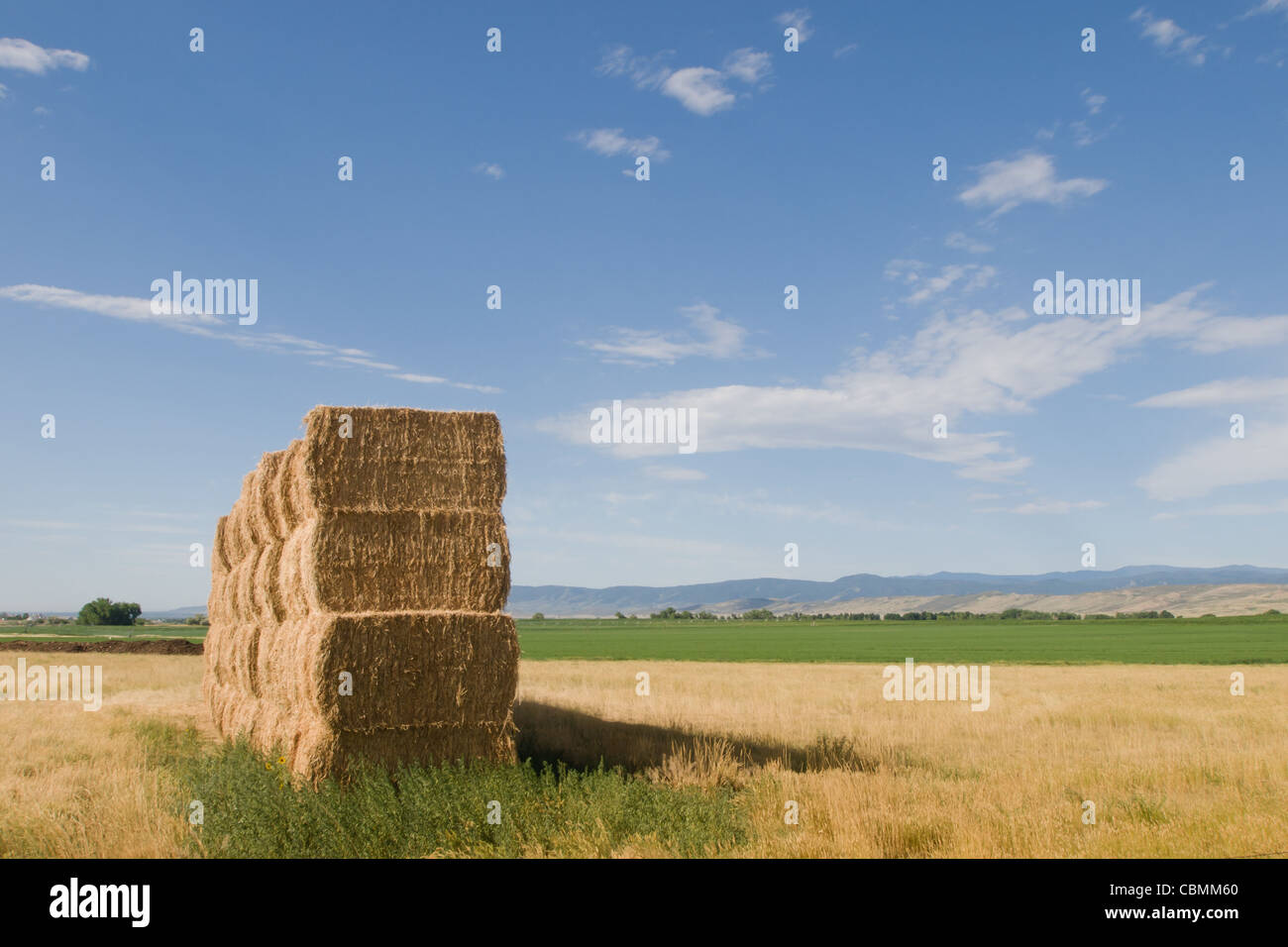 Haystack on the farm Stock Photo - Alamy
