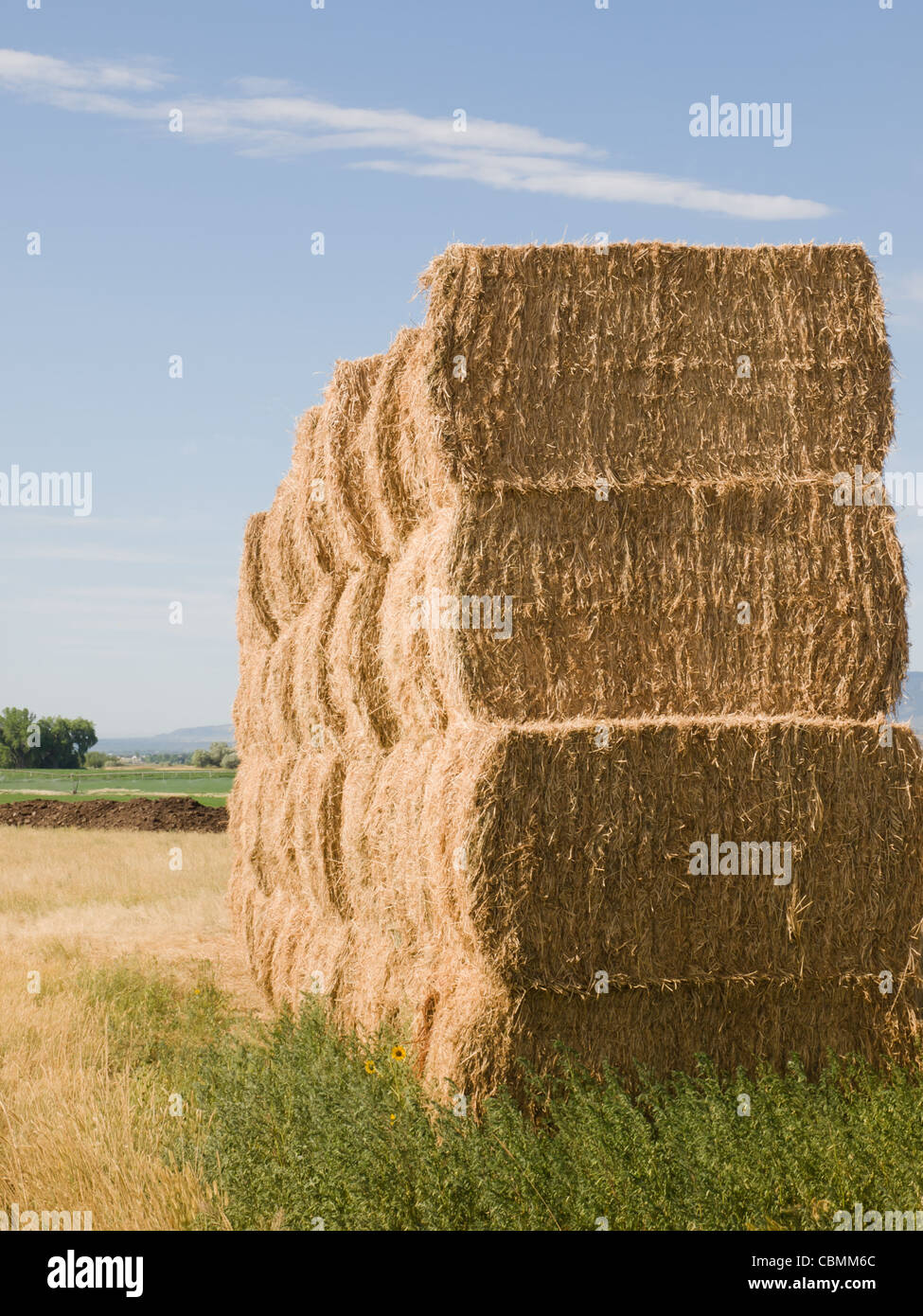 Haystack on the farm Stock Photo - Alamy