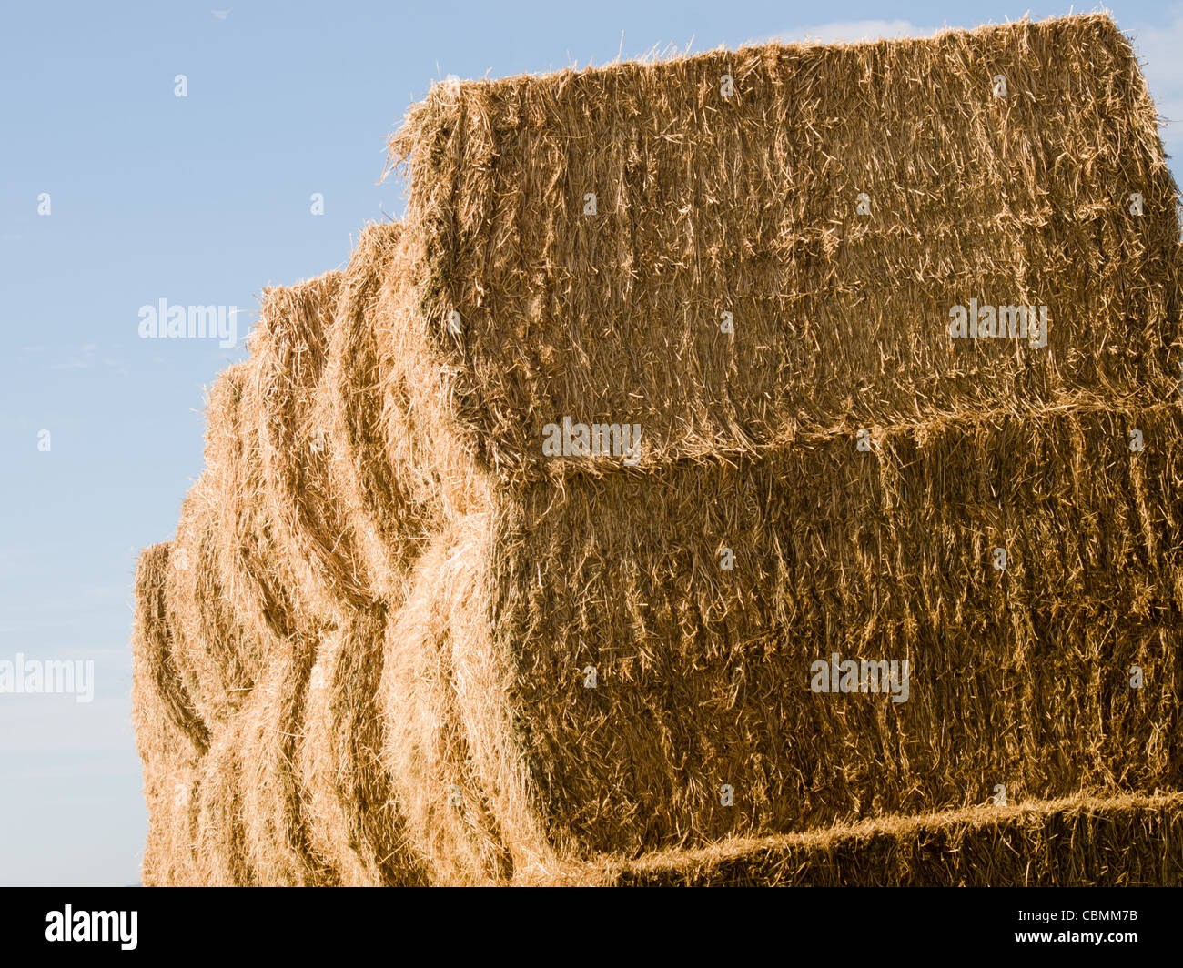 Haystack on the farm Stock Photo - Alamy