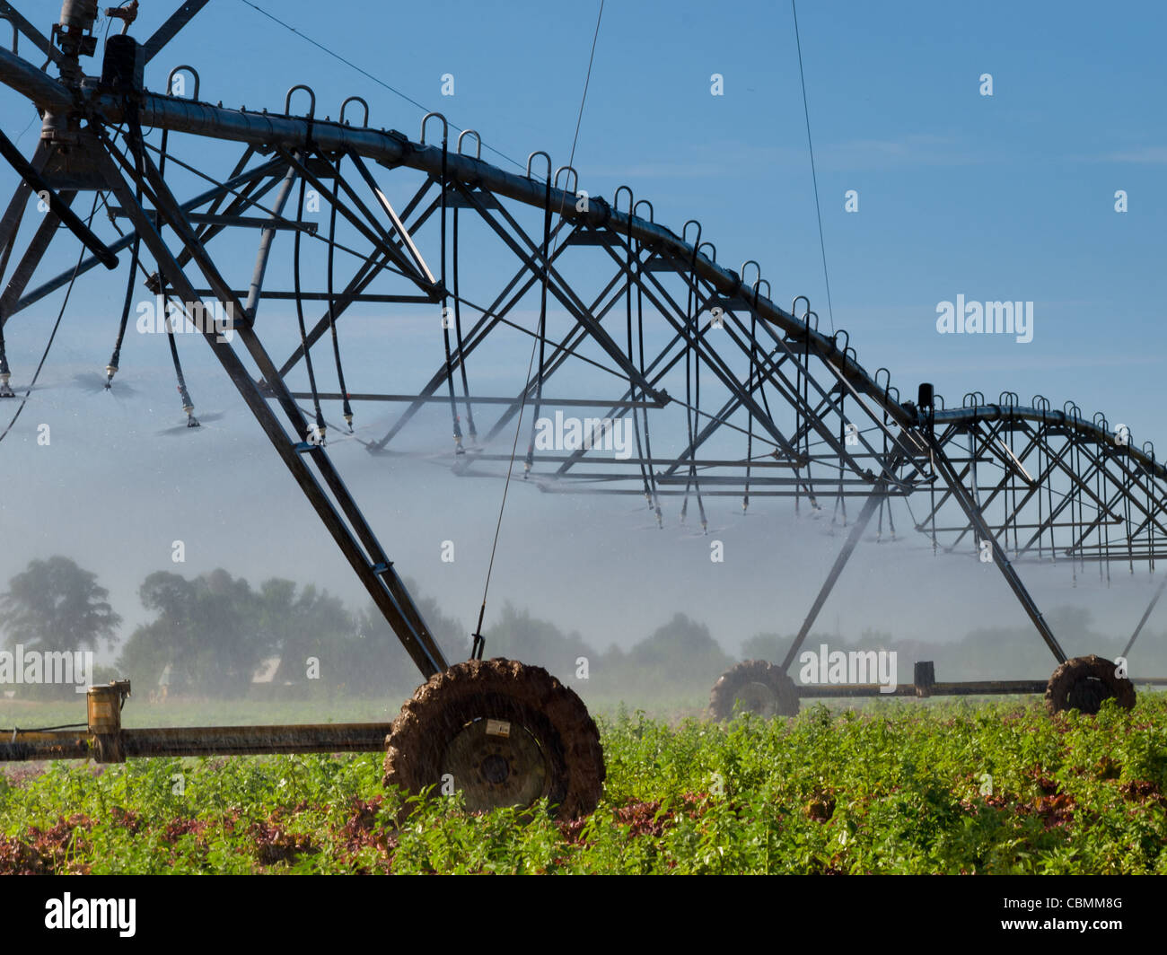 Circular irrigation system on the farm field Stock Photo - Alamy