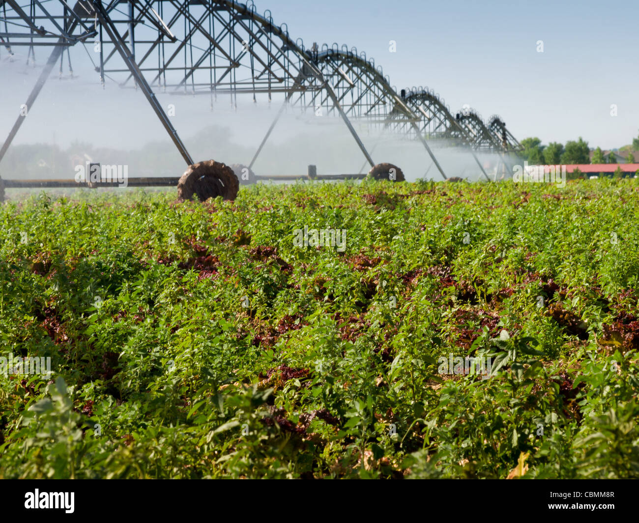 Circular irrigation system hi-res stock photography and images - Alamy
