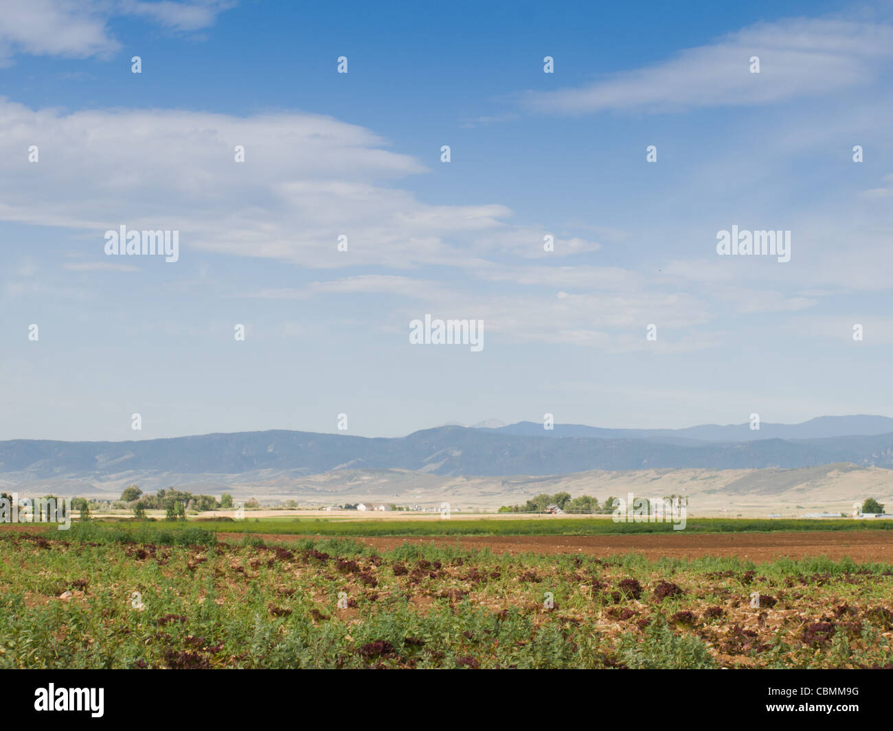 Agricultural field in Fort Collins, Colorado Stock Photo - Alamy