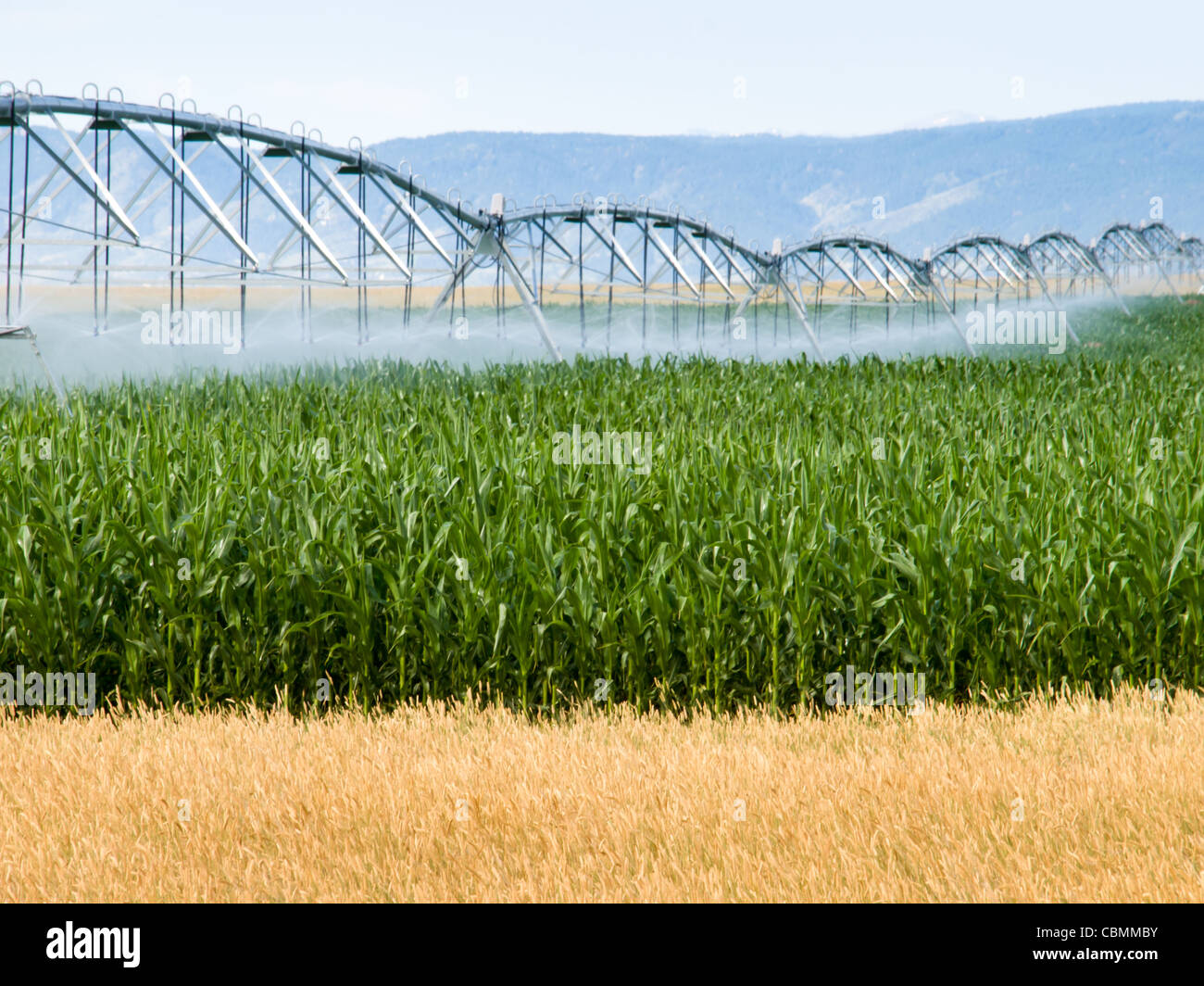 Circular irrigation system on the farm field Stock Photo - Alamy