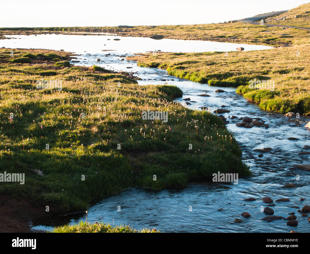 Mountain chreek above timberline Stock Photo - Alamy