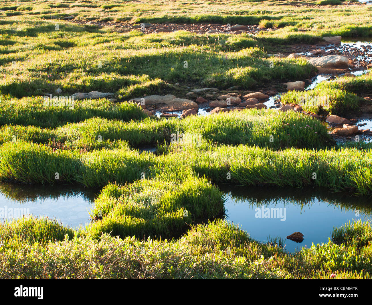 Mountain lake above timberline in the summer Stock Photo - Alamy