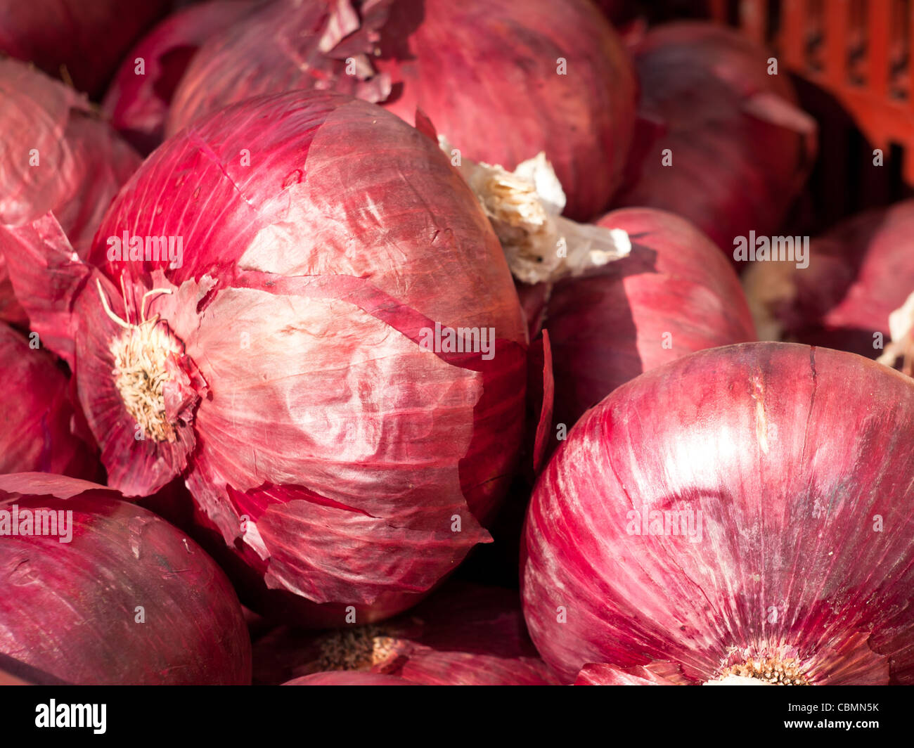 Root Vegitable High Resolution Stock Photography and Images - Alamy