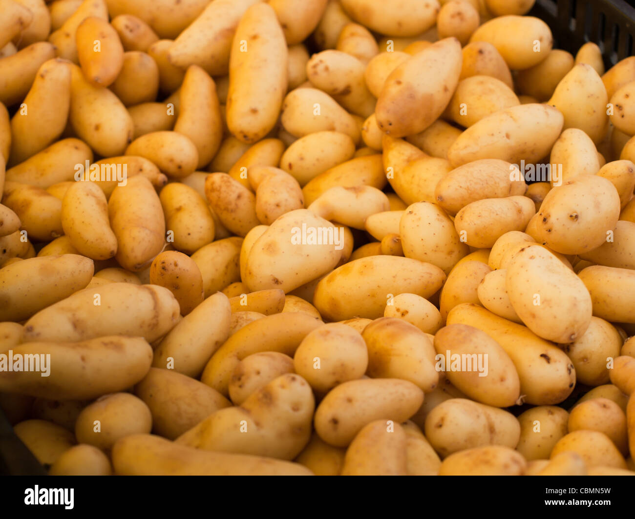 Small potatoes for sale at a farmer's market Stock Photo - Alamy