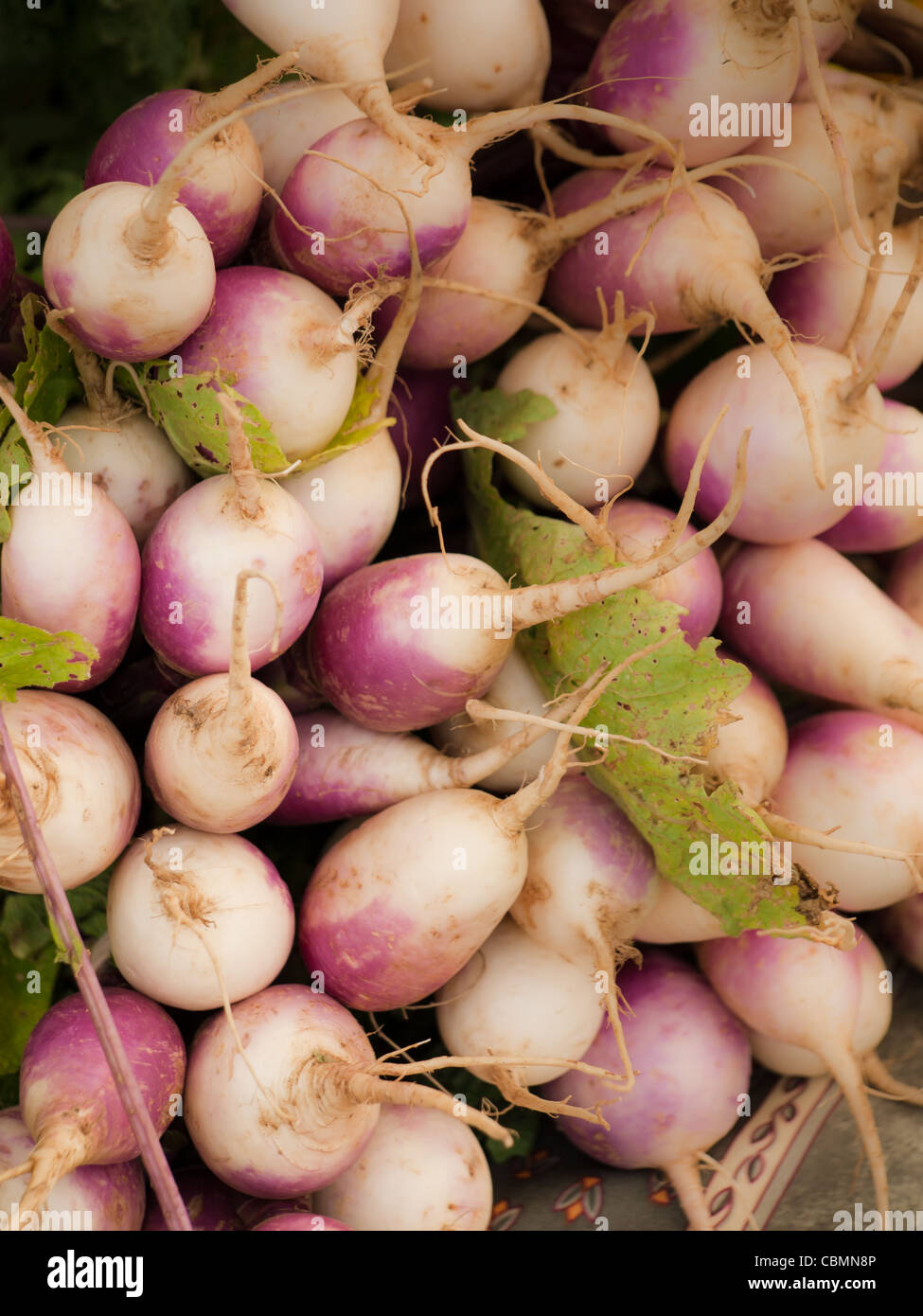 Raddish for sale at a farmer's market Stock Photo - Alamy
