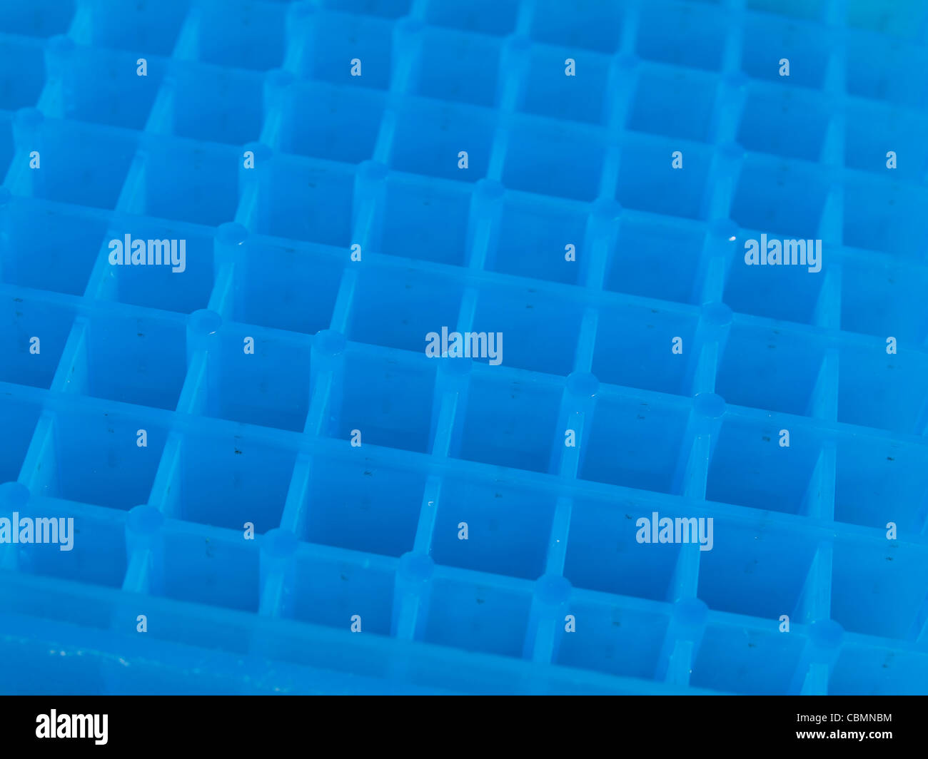 Empty blue bullet case Stock Photo - Alamy