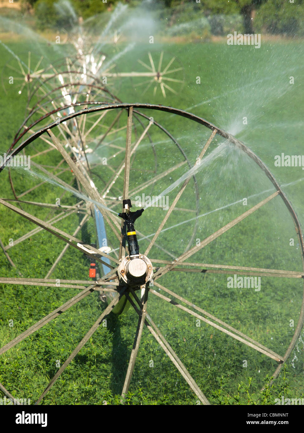 Turf farm Irrigation system on the farm field Stock Photo - Alamy