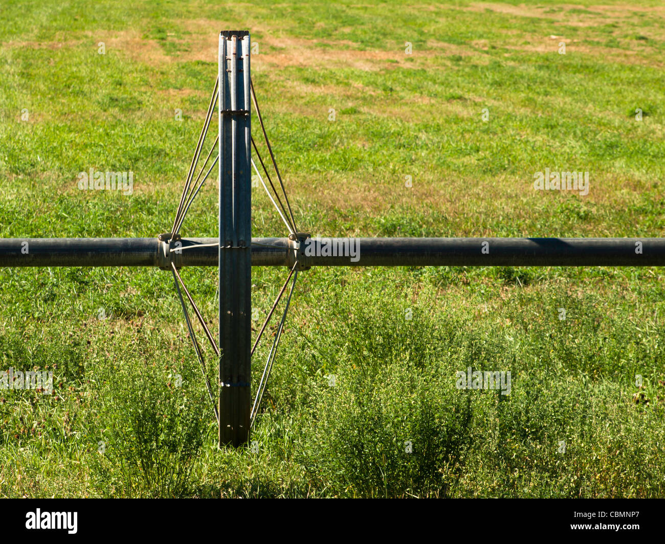 Turf farm Irrigation system on the farm field Stock Photo - Alamy