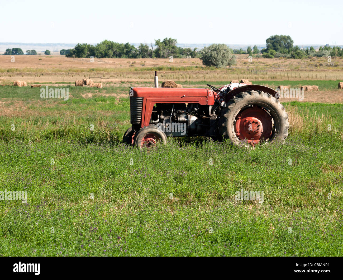 Old farm tractor Stock Photo - Alamy