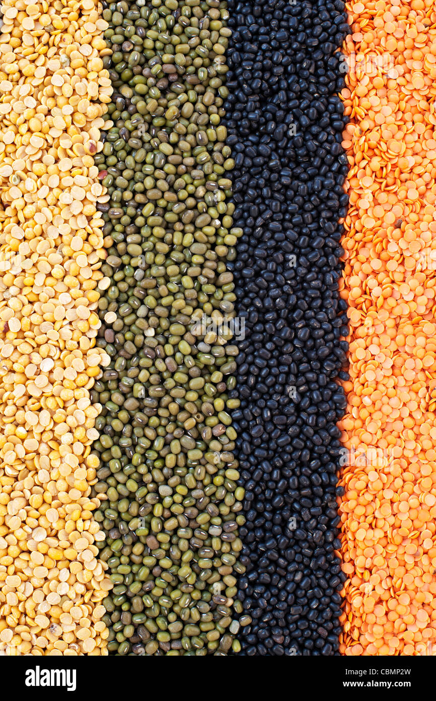 Pulses, seeds, bean and lentil pattern Stock Photo - Alamy