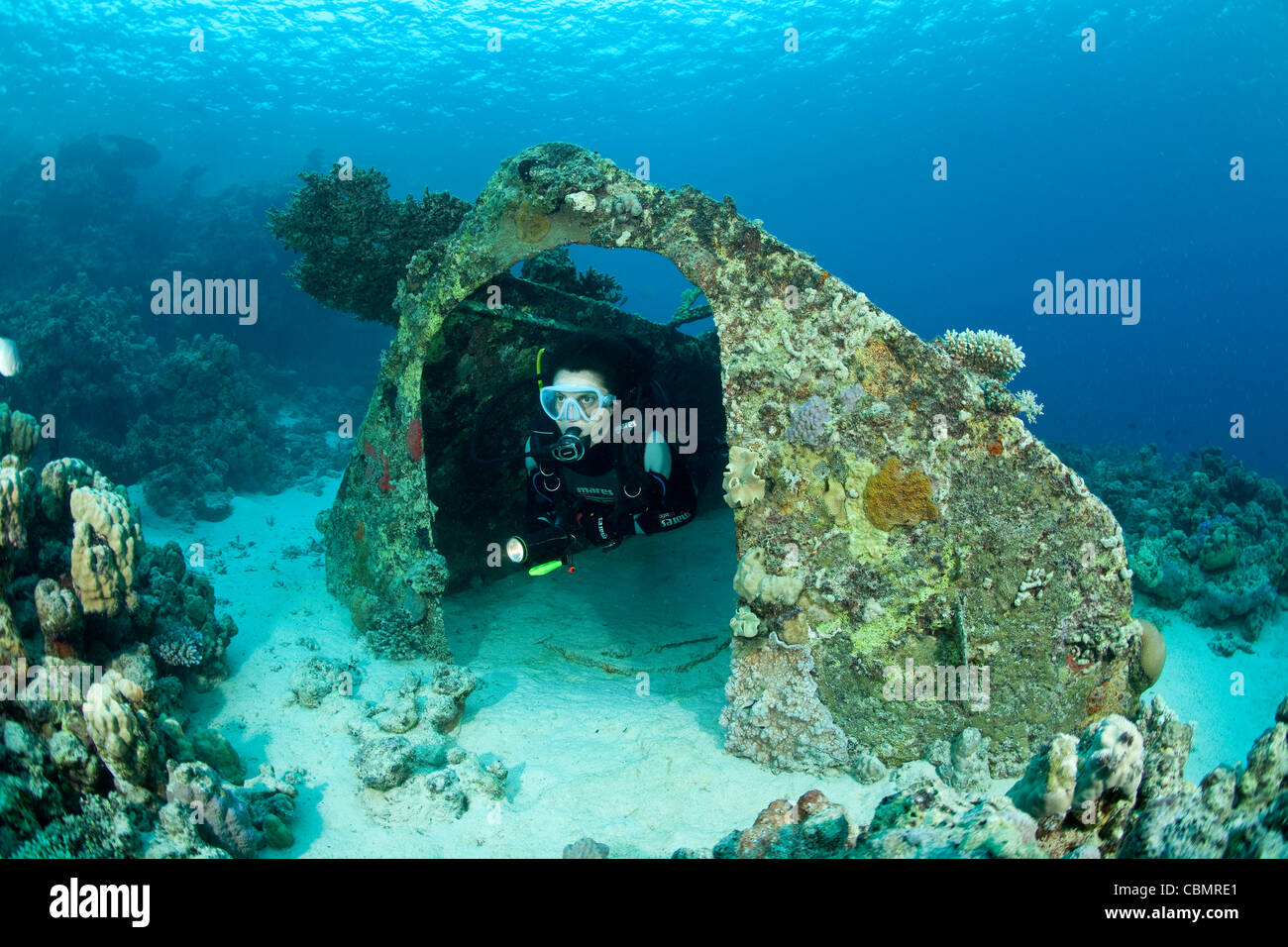 Jacques cousteau diving hi-res stock photography and images - Alamy
