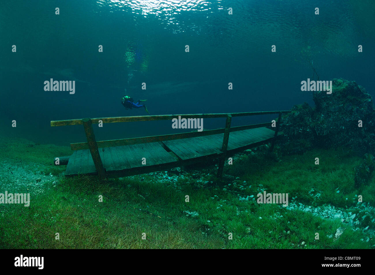 Wooden bridge in overflowed Green Lake, Tragoess, Styria, Austria Stock ...