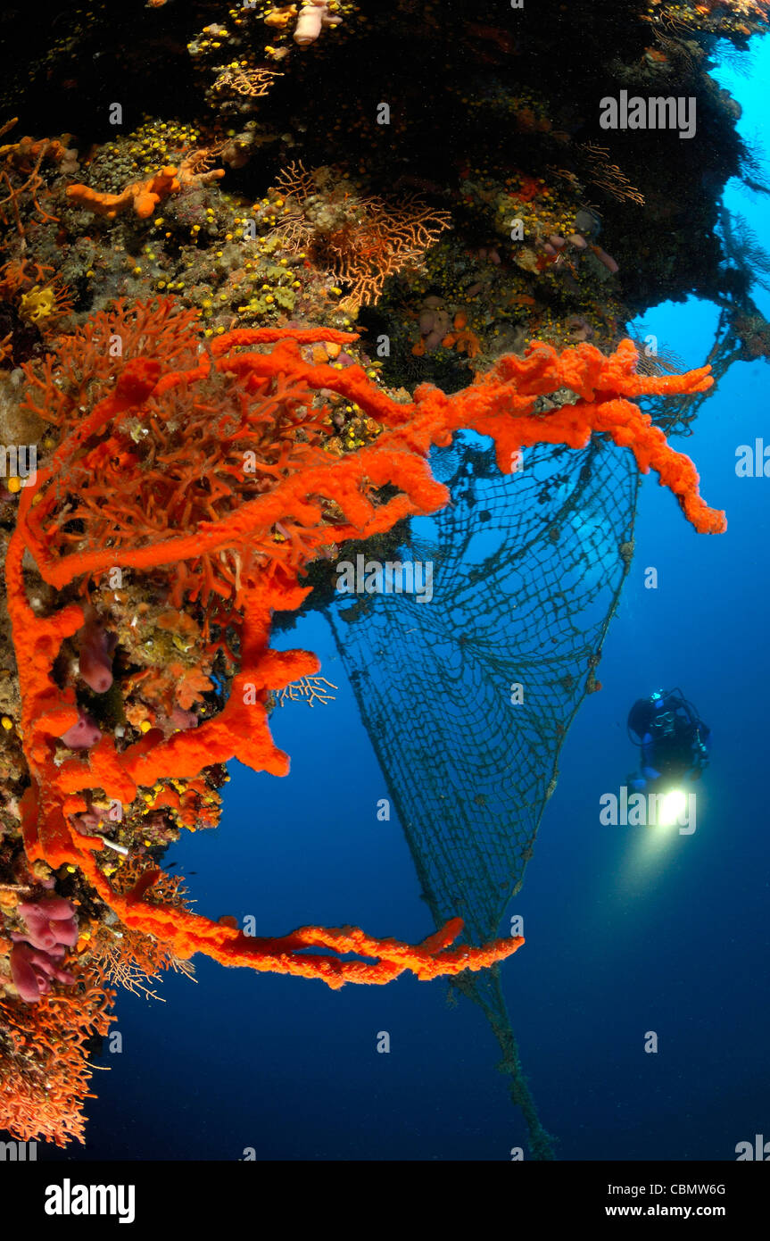 Trawl Fishing Underwater High Resolution Stock Photography and Images ...