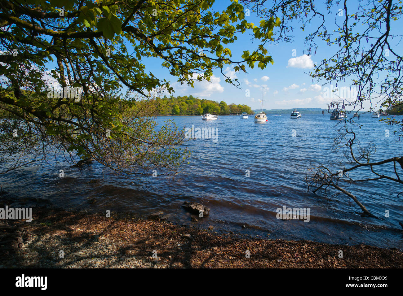 Arden, Loch Lomond, Scotland Stock Photo - Alamy