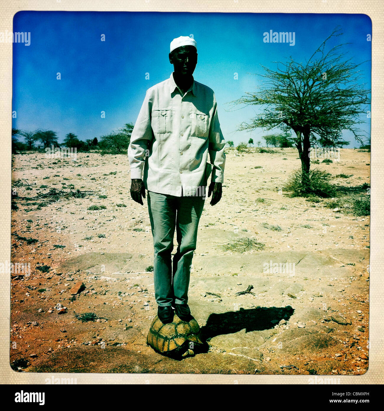 Land Turtle High Resolution Stock Photography and Images - Alamy