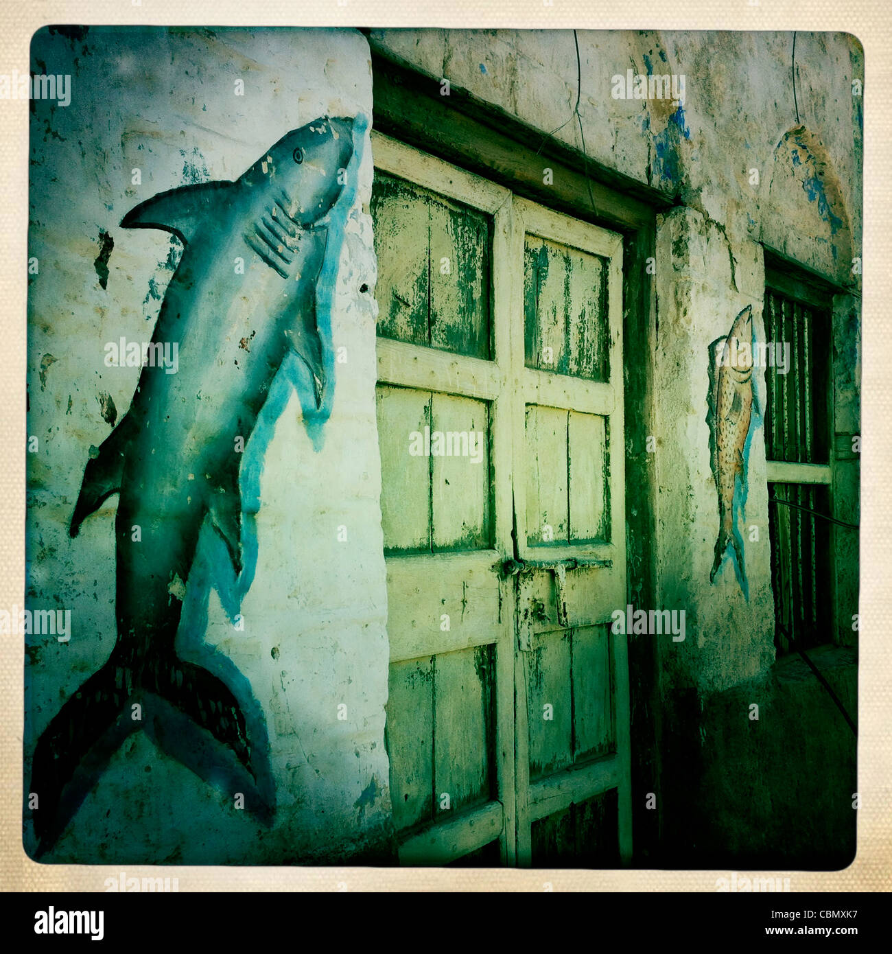 Fish drawing hi-res stock photography and images - Alamy