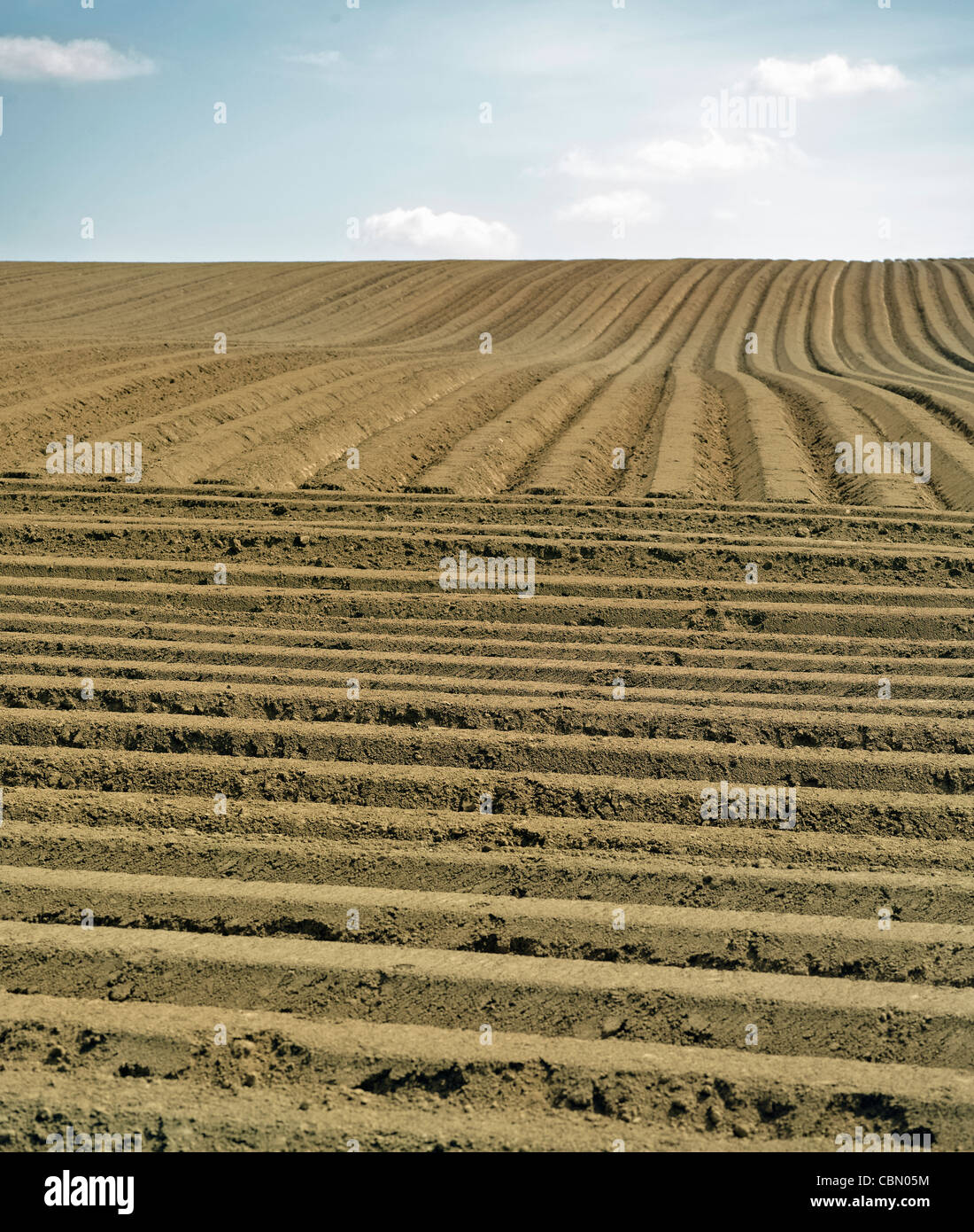 Farm field with furrows Stock Photo - Alamy