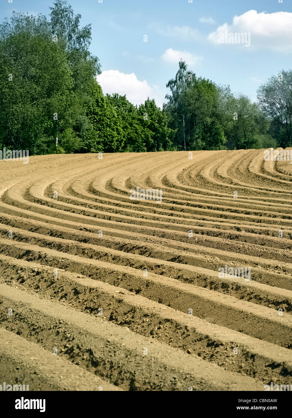 Farm field with furrows Stock Photo - Alamy