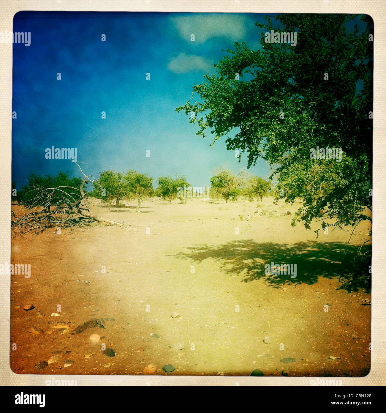 Somaliland landscape hi-res stock photography and images - Alamy