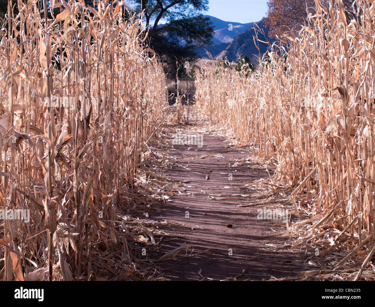 Drought farm colorado hi-res stock photography and images - Alamy