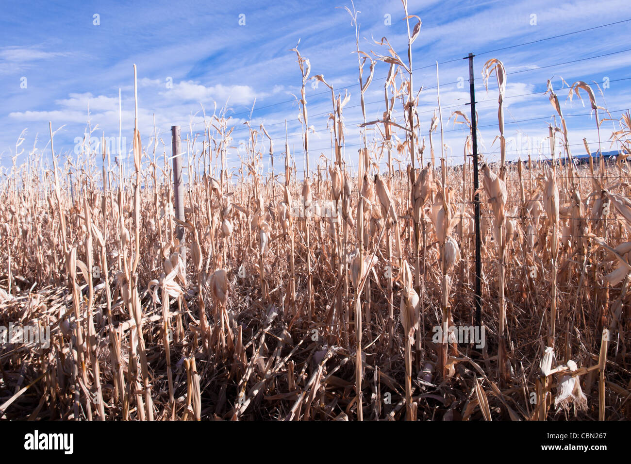 Drought farm colorado hi-res stock photography and images - Alamy