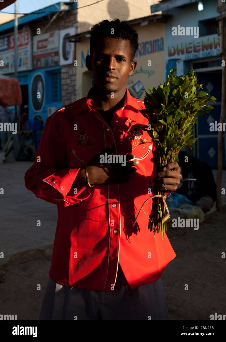 Khat leaf hi-res stock photography and images - Alamy