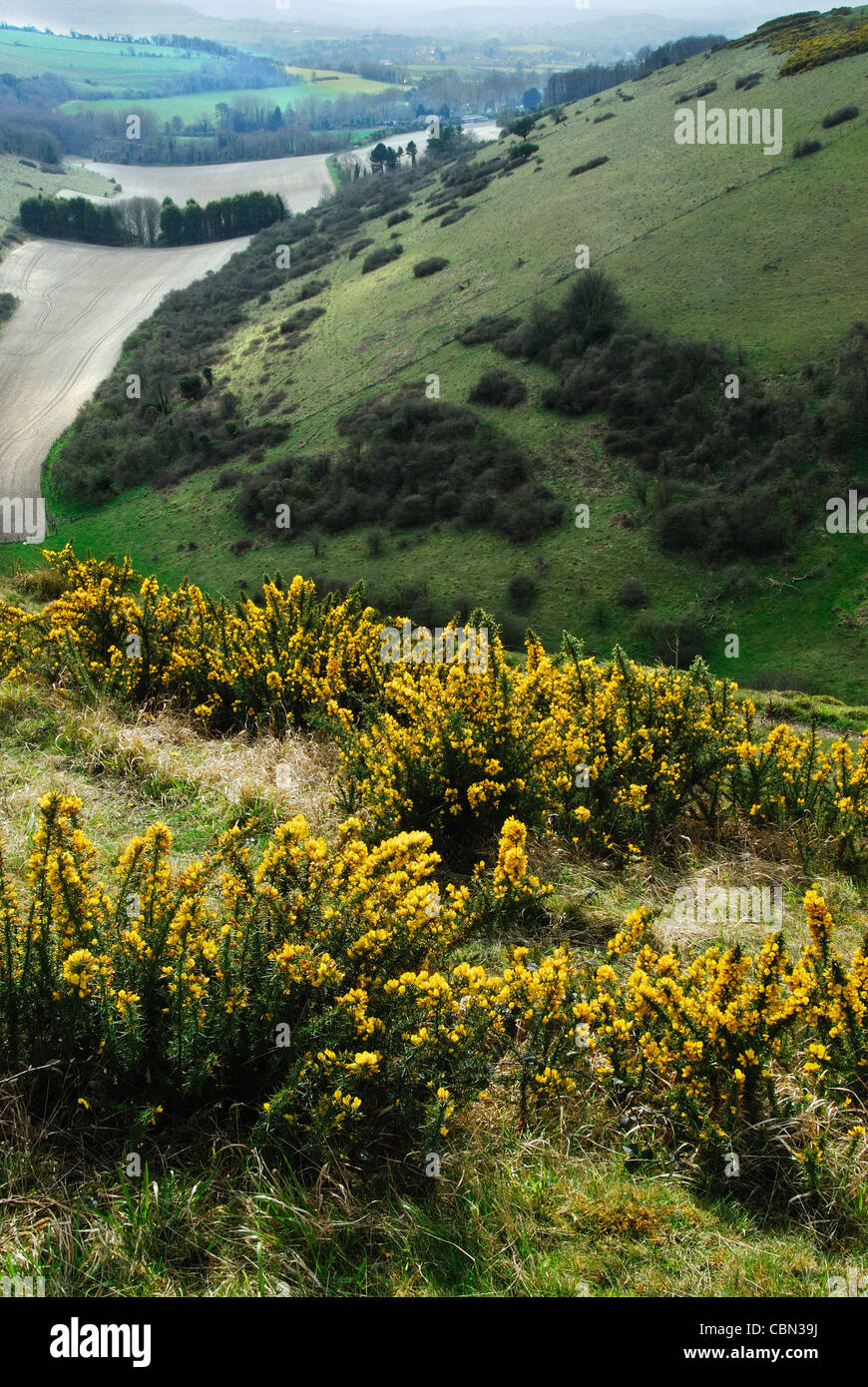 Fontmell down reserve hi-res stock photography and images - Alamy