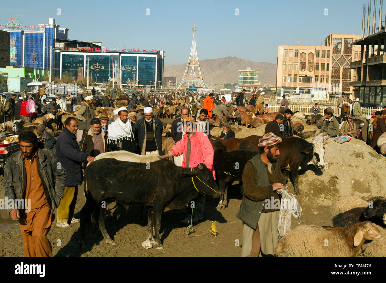 Sheep sacrifice hi-res stock photography and images - Alamy