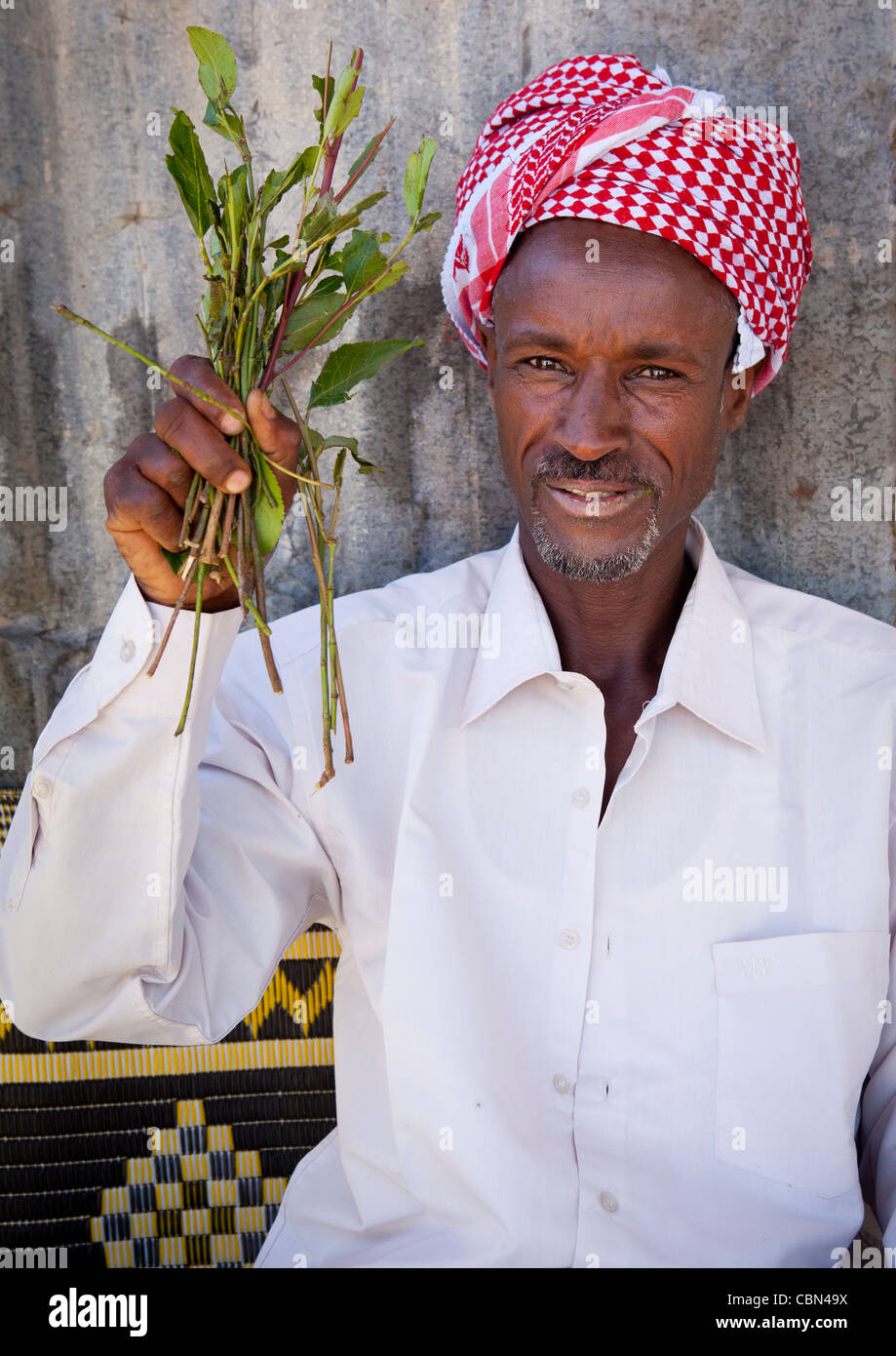 Khat Leaf Stock Photos & Khat Leaf Stock Images - Alamy