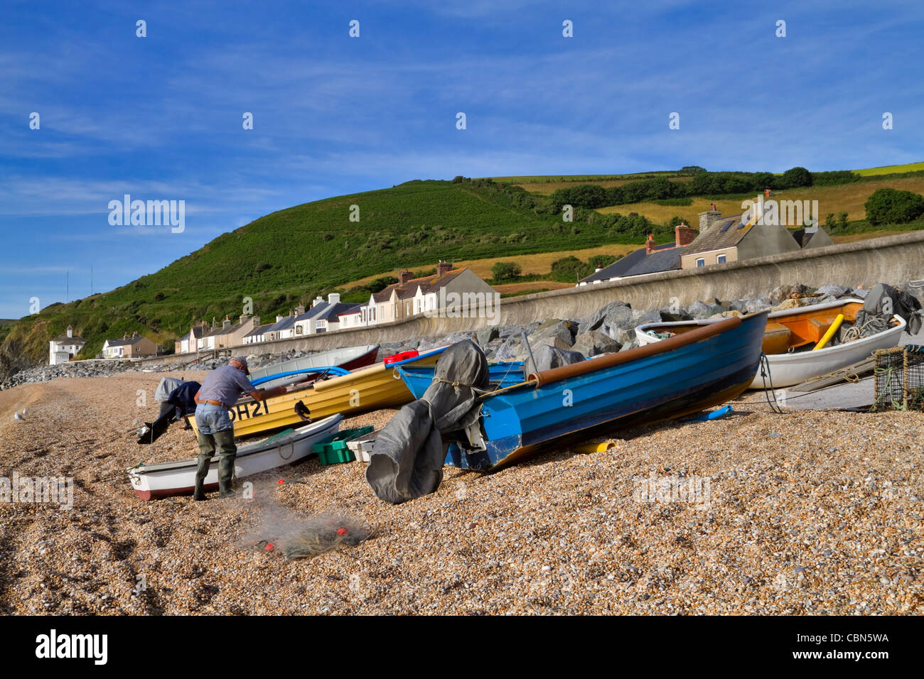 Fisherman untangling fish from a net at Beesands, South Hams, Devon ...