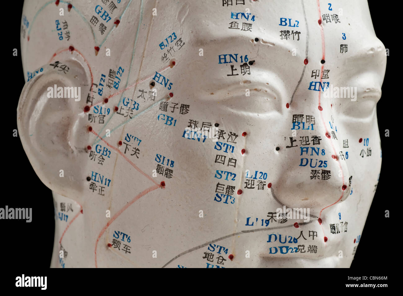 Acupuncture head model Stock Photo - Alamy