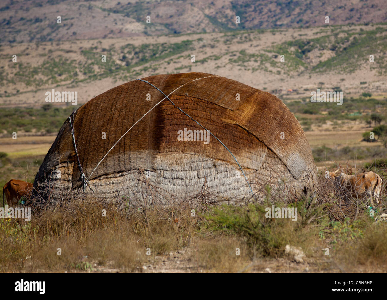 Somali hut horn of africa horizontal outdoors exterior color photograph ...