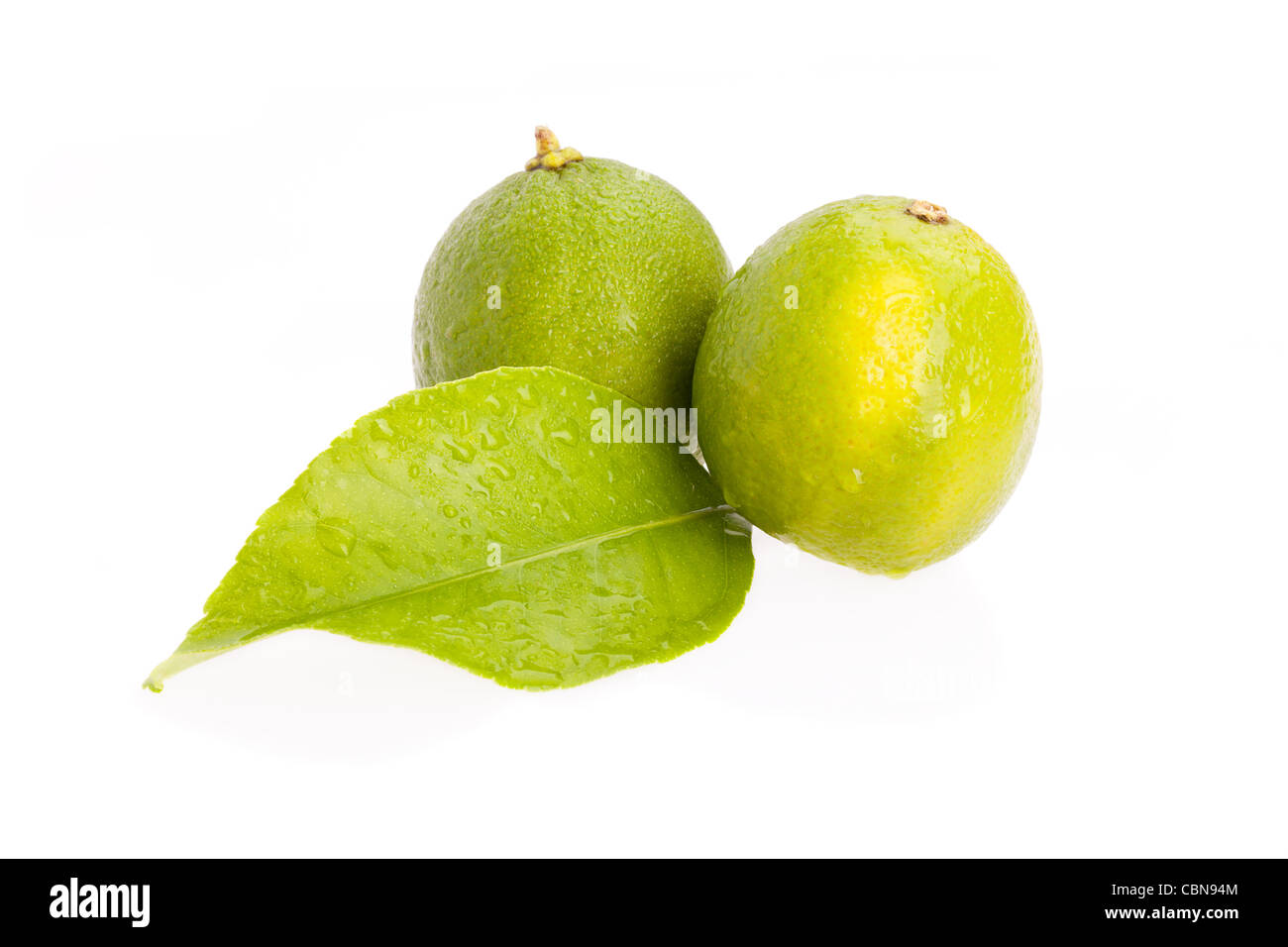Two limes with leaf on white background Stock Photo - Alamy