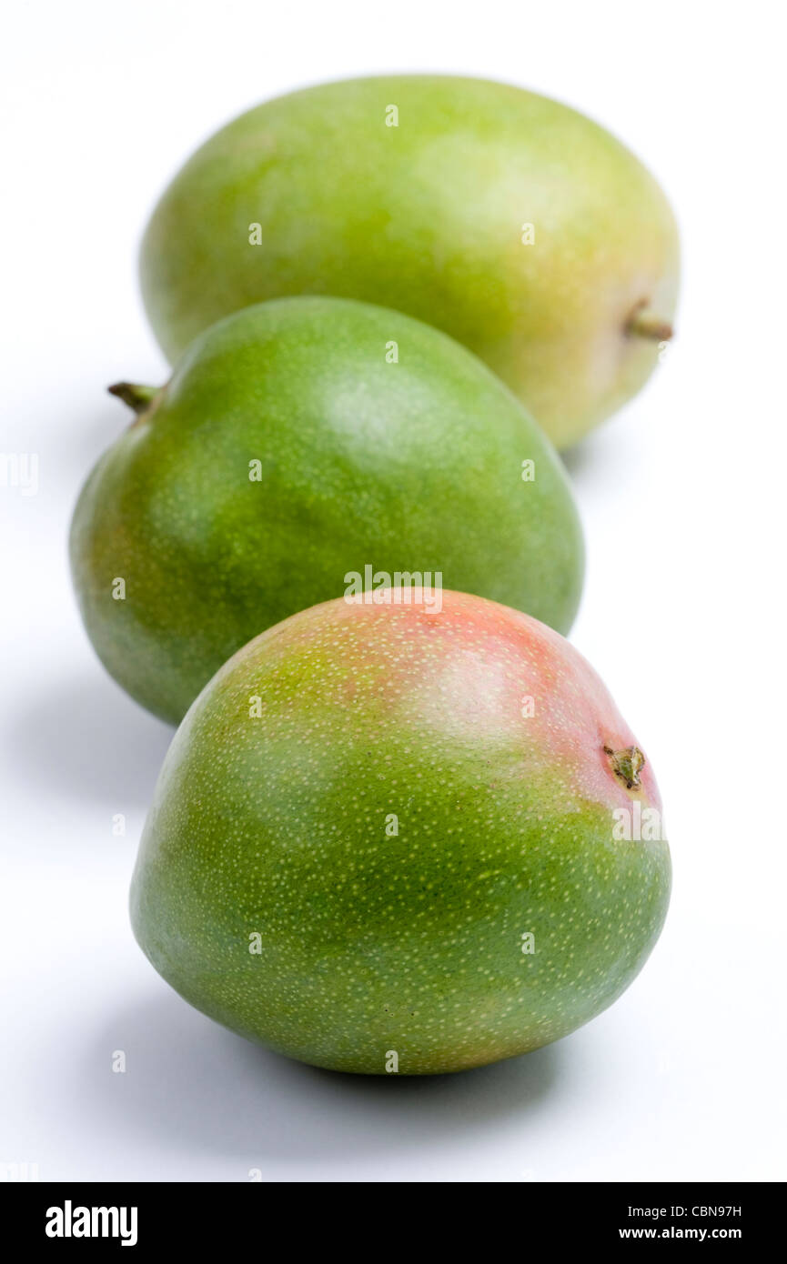 three mangoes (mango) fruit isolated on a white background Stock Photo ...