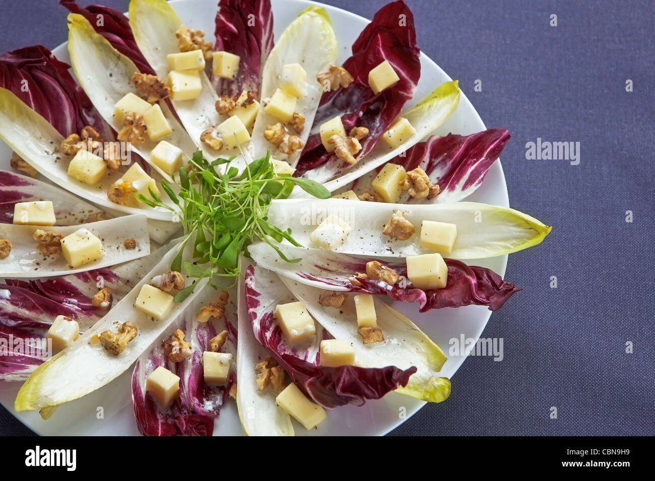 Chicory salad with yellow chicory,red chicory, walnuts, mountain cheese ...