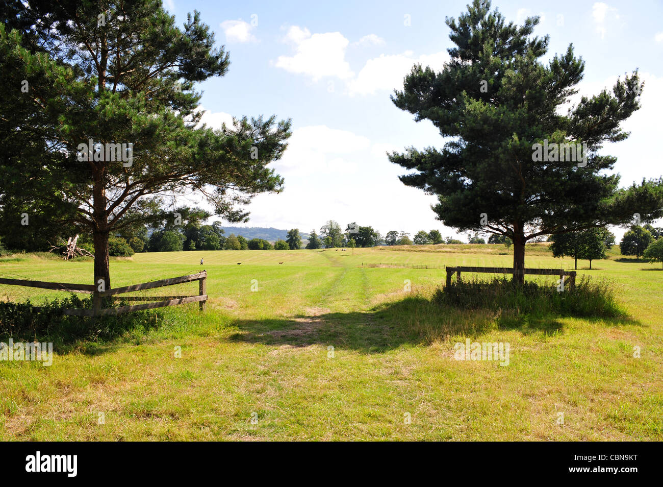 Grounds of Ashton Court estate, Bristol, Somerset, England Stock Photo ...
