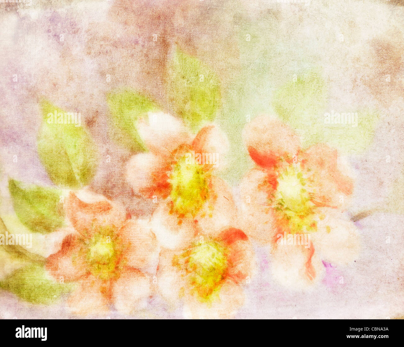 Old Paper Floral Texture For Background Stock Photo - Alamy