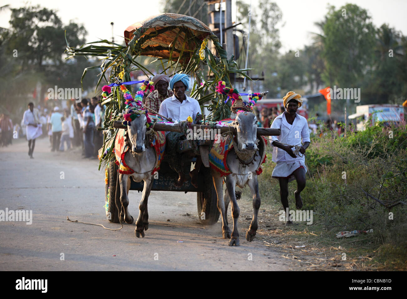 Decorated Bullock Carts Stock Photos & Decorated Bullock Carts Stock ...
