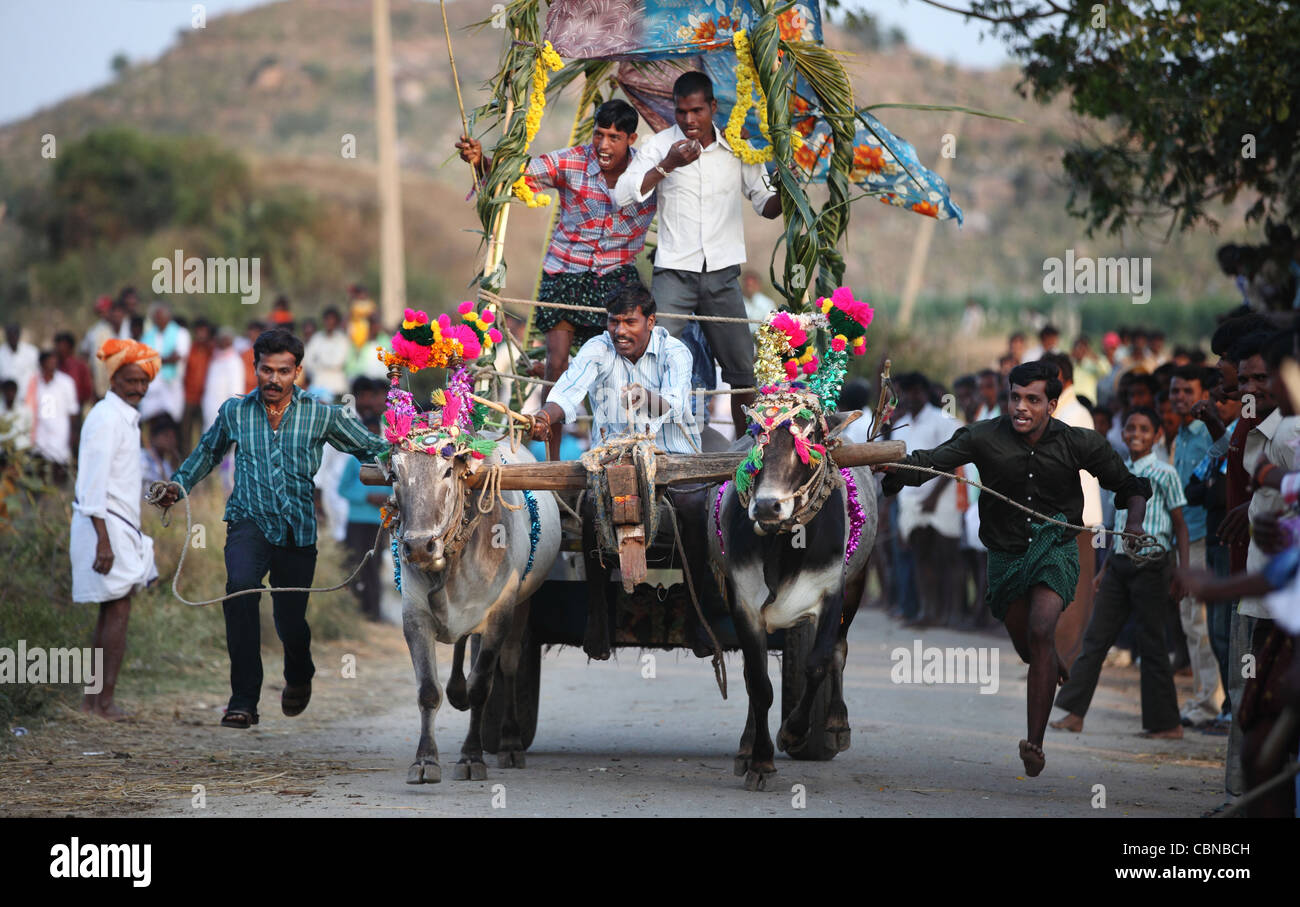 Decorated Bullock Carts Stock Photos & Decorated Bullock Carts Stock ...