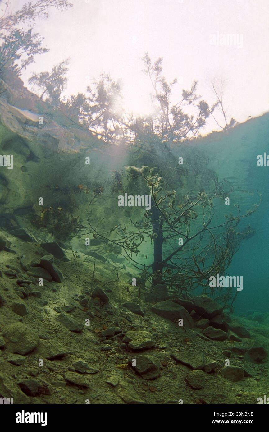 Wood under water hi-res stock photography and images - Alamy