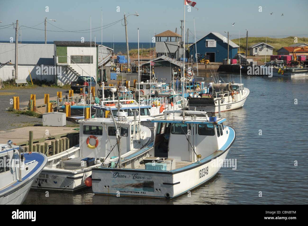 Commercial fishing boats are tied up in North Lake Harbor, P.E.I ...