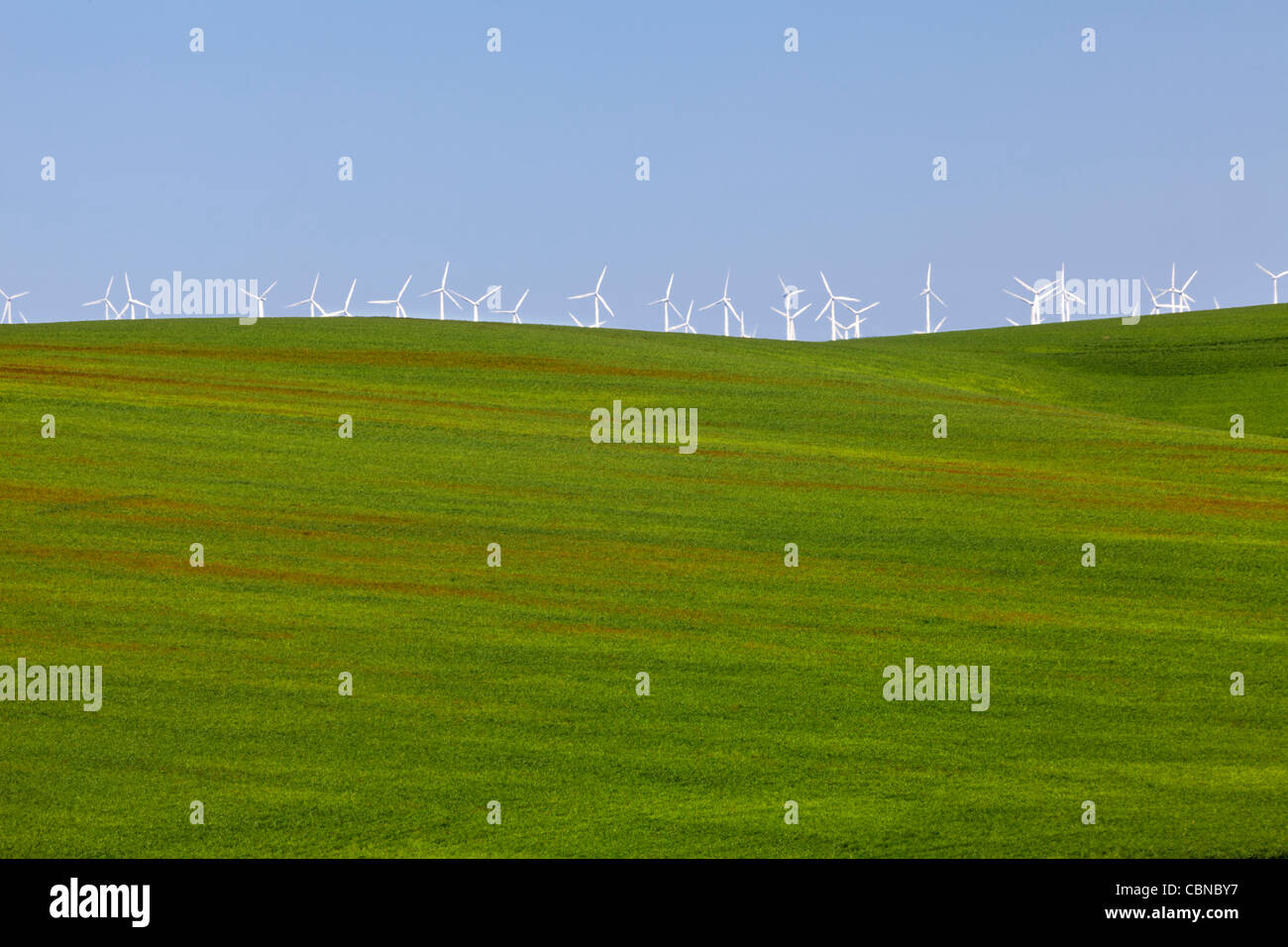 Farm fields, Wind Turbines, Near Wasco, Oregon Stock Photo - Alamy